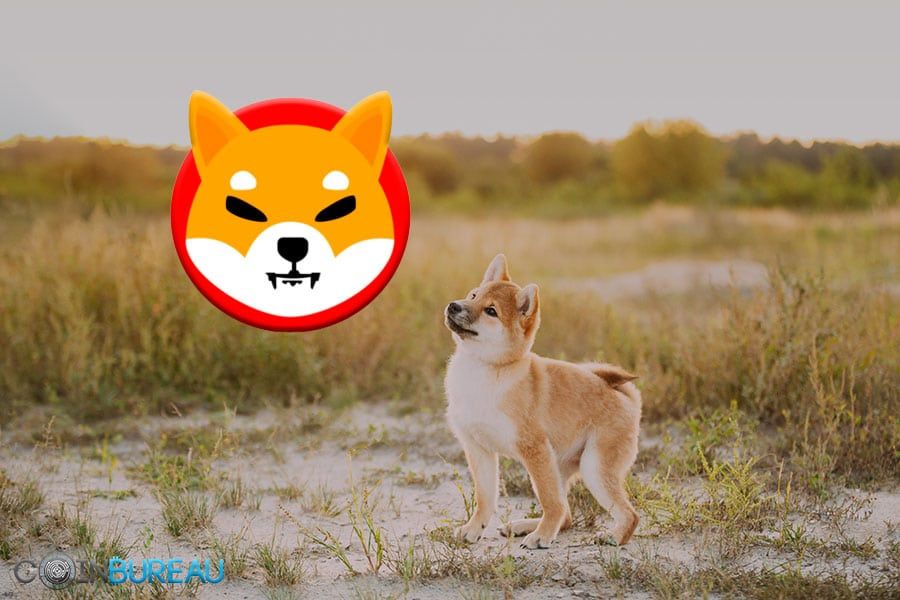 Shiba Inu (SHIB): Scam or Legit? This You NEED To Know!!