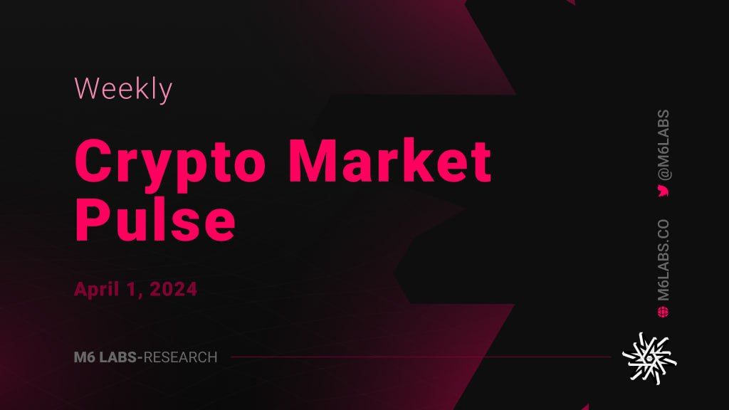 M6 Labs Crypto Market Pulse: Alpha and Opportunity Everywhere!