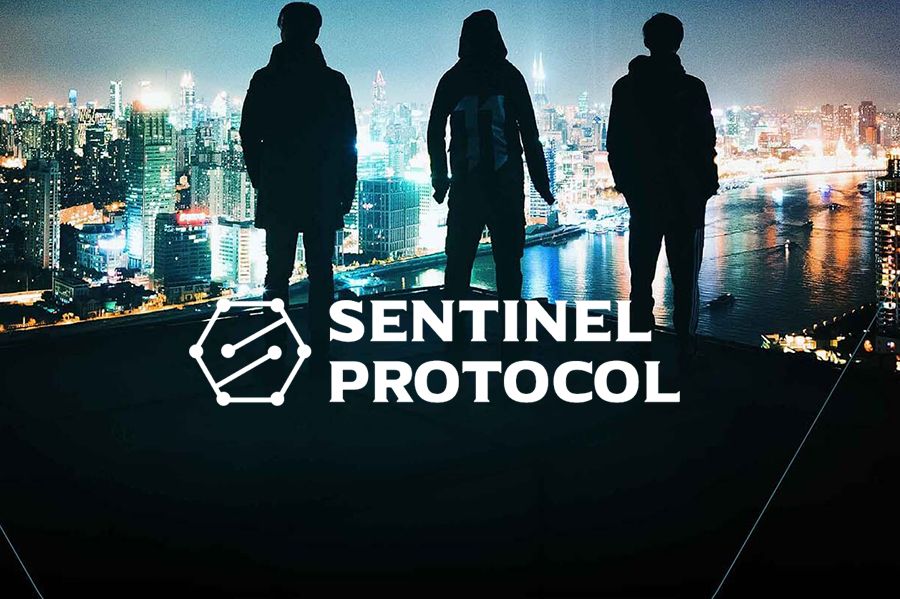 Sentinel Protocol ICO: Threat Intelligence Securing The Blockchain ...