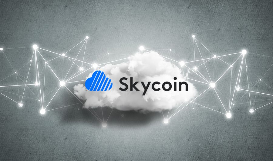 Complete Overview of Skycoin: The Greatest Threat to ISPs - Coin Bureau